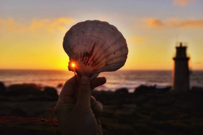 Die Jakobsmuschel der Pilger | Jakobsweg.de