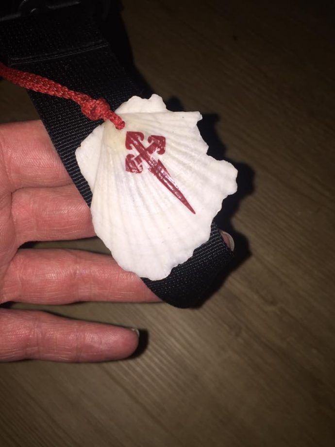 Die Jakobsmuschel der Pilger | Jakobsweg.de