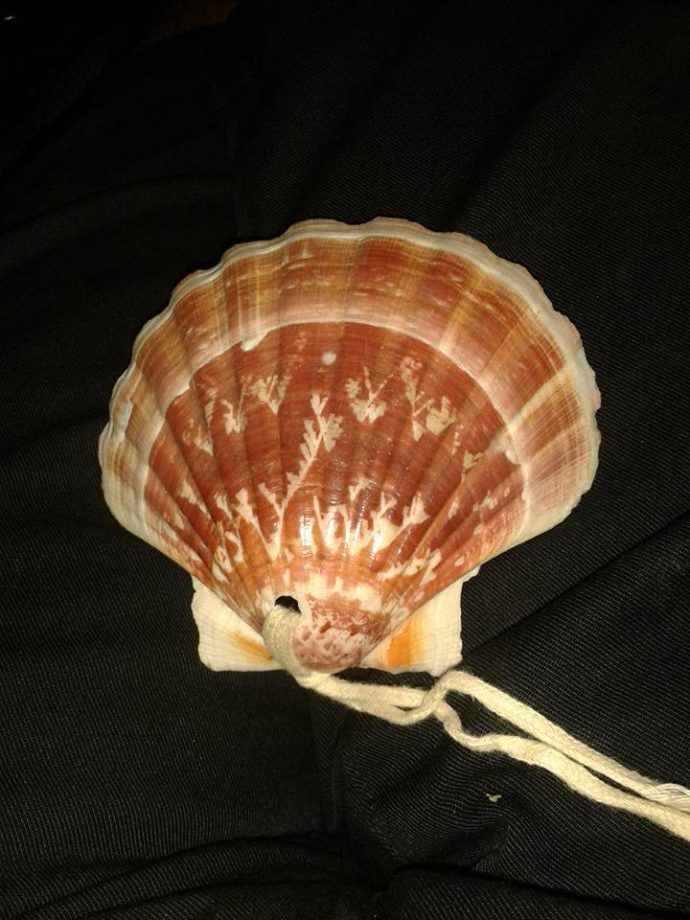 Die Jakobsmuschel der Pilger | Jakobsweg.de